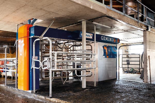 Robot di Mungitura Gemini singolo - EnneEffe